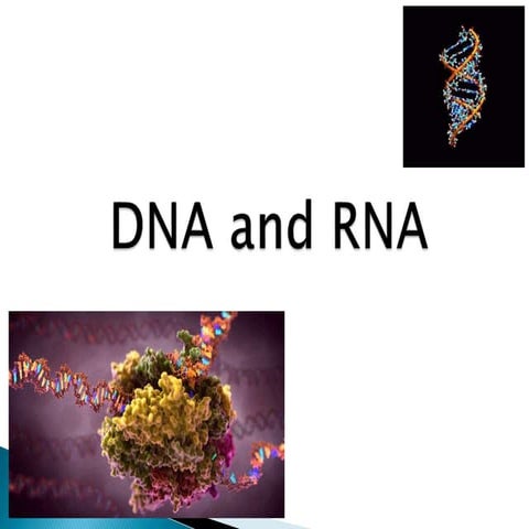 DNA ppt.ppt