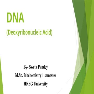 DNA or deoxyribonucleic acid, is the hereditary material in humans and ...