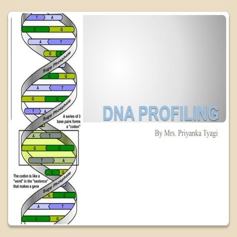 DNA PROFILING of human dna using various mathods | PPTX
