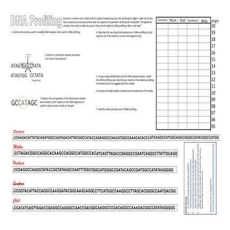 Find the CAT - DNA Profiling Worksheet | PDF
