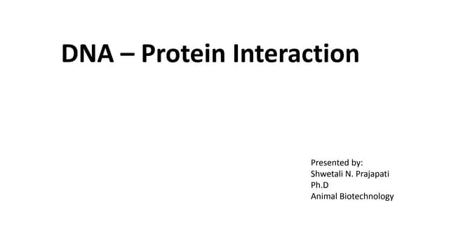 Bisubstrate reactions enzyme kinetics | PPTX | Chemistry | Science