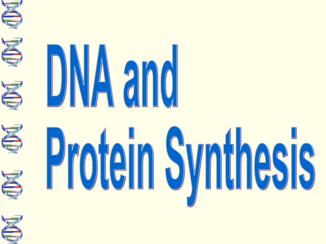 02 The Role of DNA in Protein Synthesis | PPT