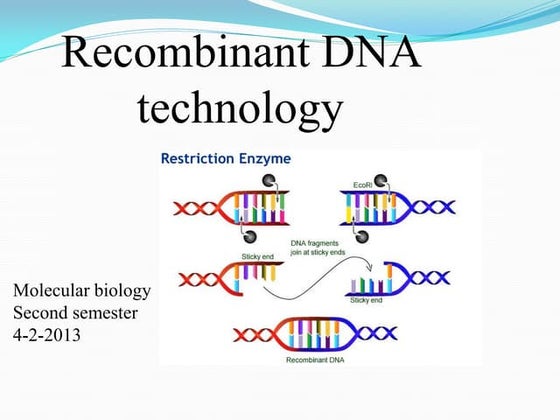 Applications of Recombinant DNA Technology | PPT