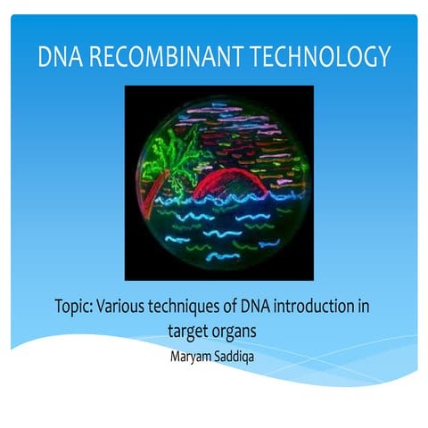 Dna recombinant technology | PPTX