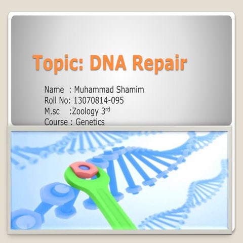 Dna repair | PPT