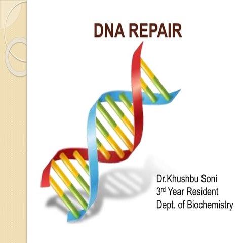 Dna repair | PPT