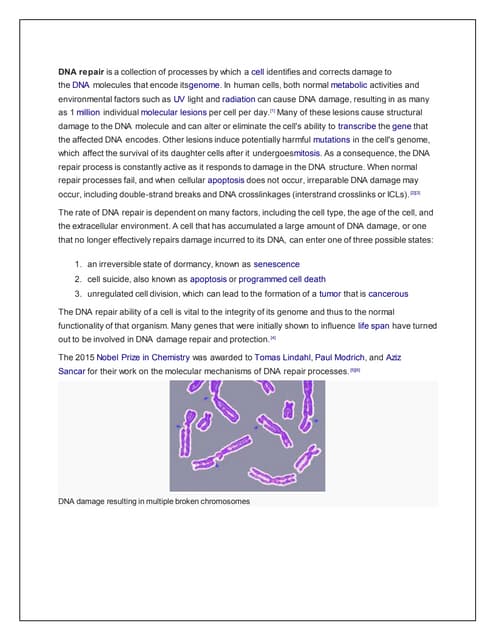 Causes and types of DNA damage.pptx