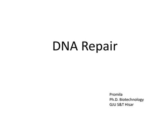 Dna repair mechanisms | PPT
