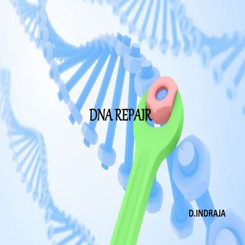 Dna damage,repair | PPTX