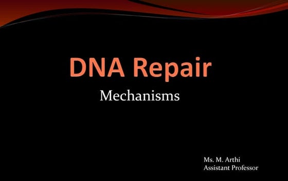 DNA repair mechanism | PPT