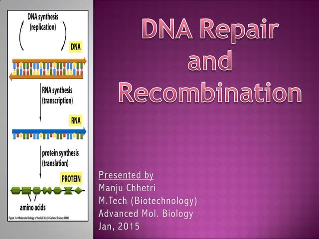 MUTATIONS & DNA REPAIR MECHANISMS