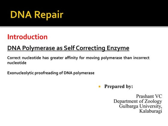 Dna damge and repair | PPT