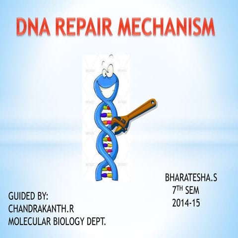 DNA repair mechanism | PPTX