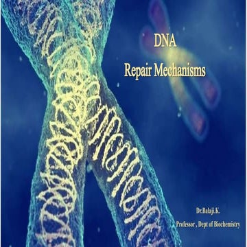 DNA repair mechanism - Brief description, causes and cure | PPTX