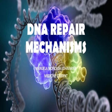 Dna repair mechanisms | PPT