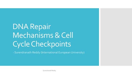 Cell Cycle Regulation | PPT