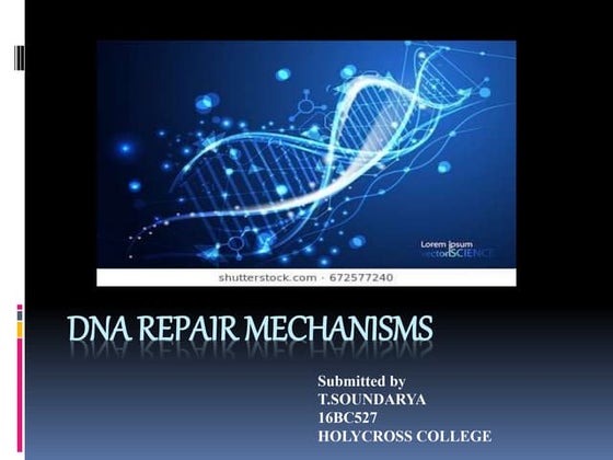 DNA Damage and repair mechanism | PPTX