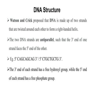 DNA Rep and RNA structure well explained | PPTX