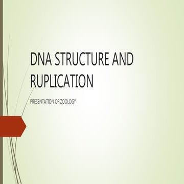 DNA structure and replication | PPTX