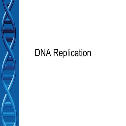 Dna replication | PPT