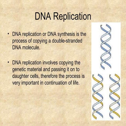 Dna replication | PPT | Chemistry | Science