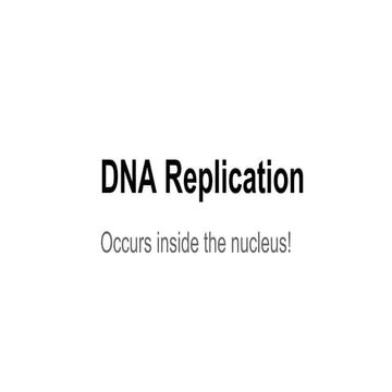 Dna structure and function notes | DOC