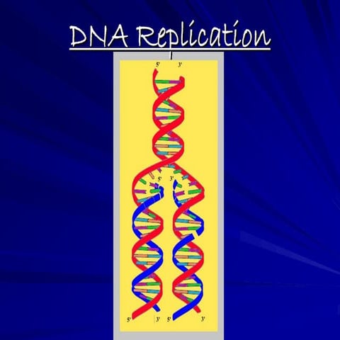dna introduction for education for students.ppt