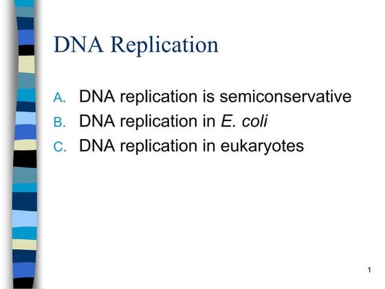 Dna replication eukaryotes | PPTX