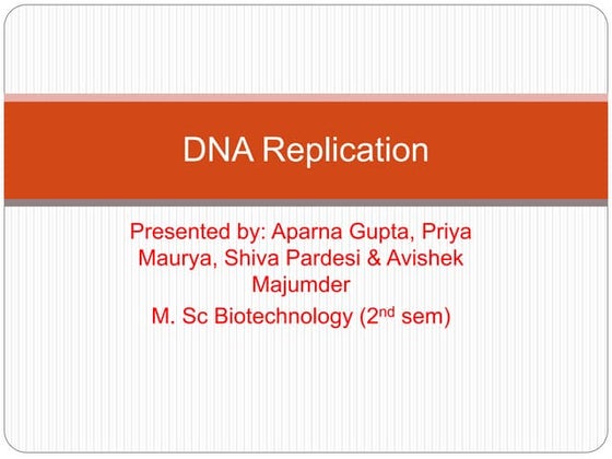 DNA Replication in Eukaryotes (initiation-elongation-termination) | PPT