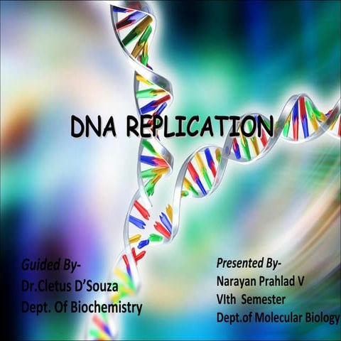 Dna replication and enzymes involved in dna replication | PPT