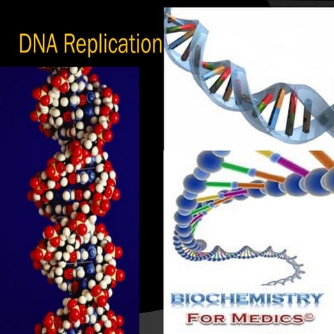 DNA Replication | PPT
