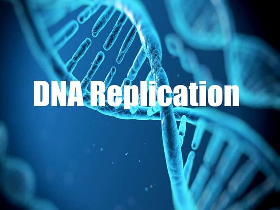 Dna replication | PPT