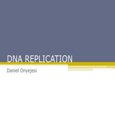 Dna replication | PPT