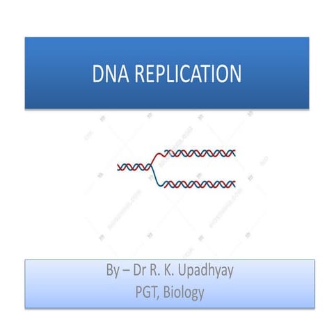 DNA REPLICATION | PPTX | Chemistry | Science