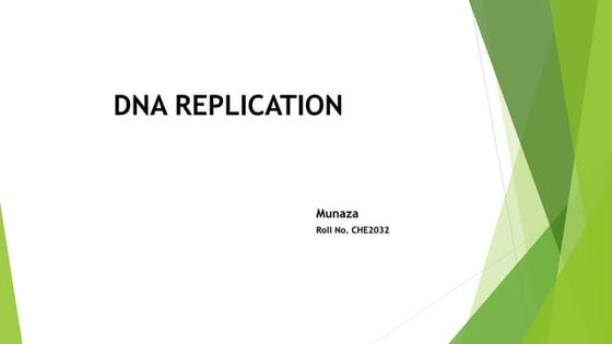 DNA Replication in animal and plant cells.ppt