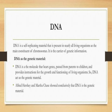 DNA replication.pdf