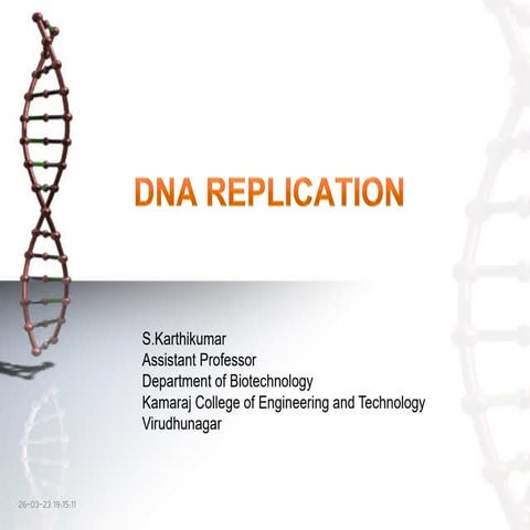 DNA Replication.pdf