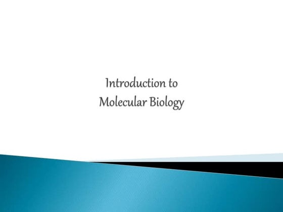 DNA replication | PPT