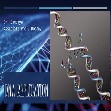 DNA replication.pdf
