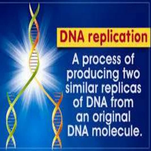 DNA Replication.pptx