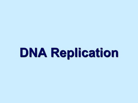 DNA_Replication cell division biology.pptx
