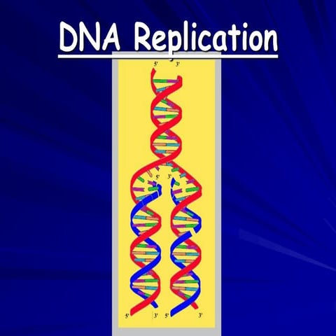 DNA Replication completed in-full picture.ppt
