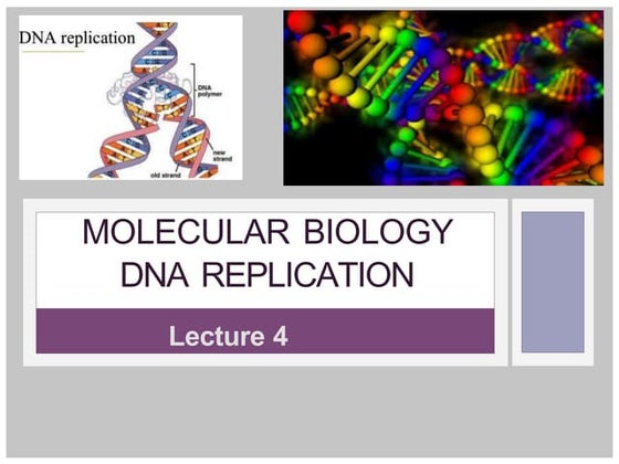 Various model of DNA replication | PDF