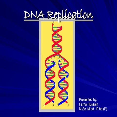 Relication process in DNA double helical | PPT