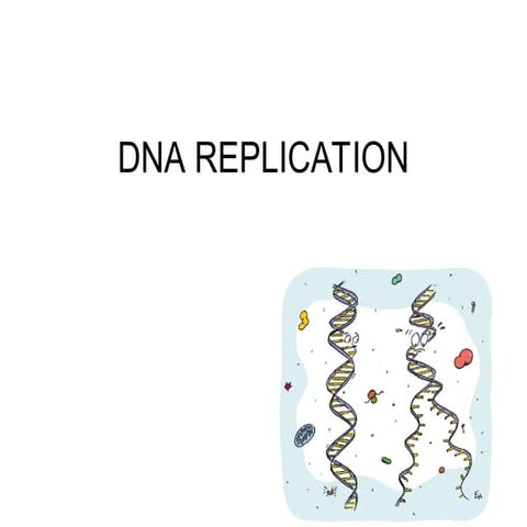 Materi Kuliah Bok 3. HUMAN DNA REPLICATION | PPT