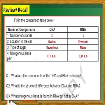 DNA Replication.pptx DNA, organic chemical of complex molecular ...