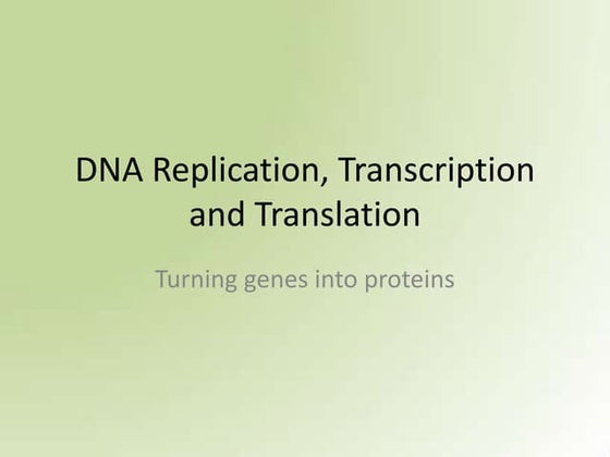 Dna replication ssb | PPTX