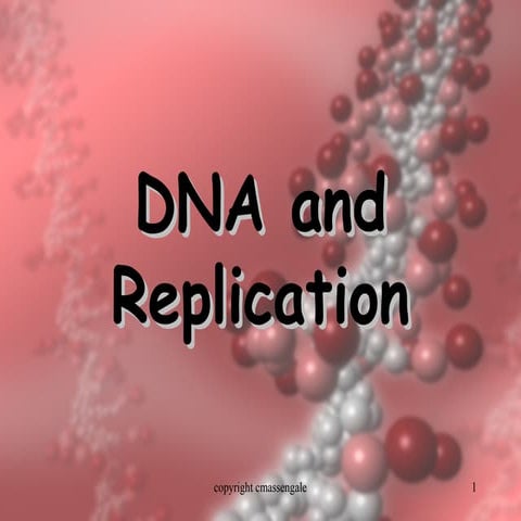 DNA replication1.ppt