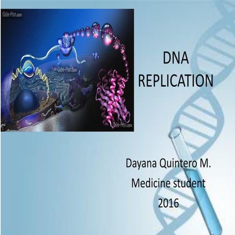 DNA replication | PPT