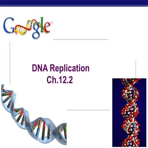 DNA Replication | PPT